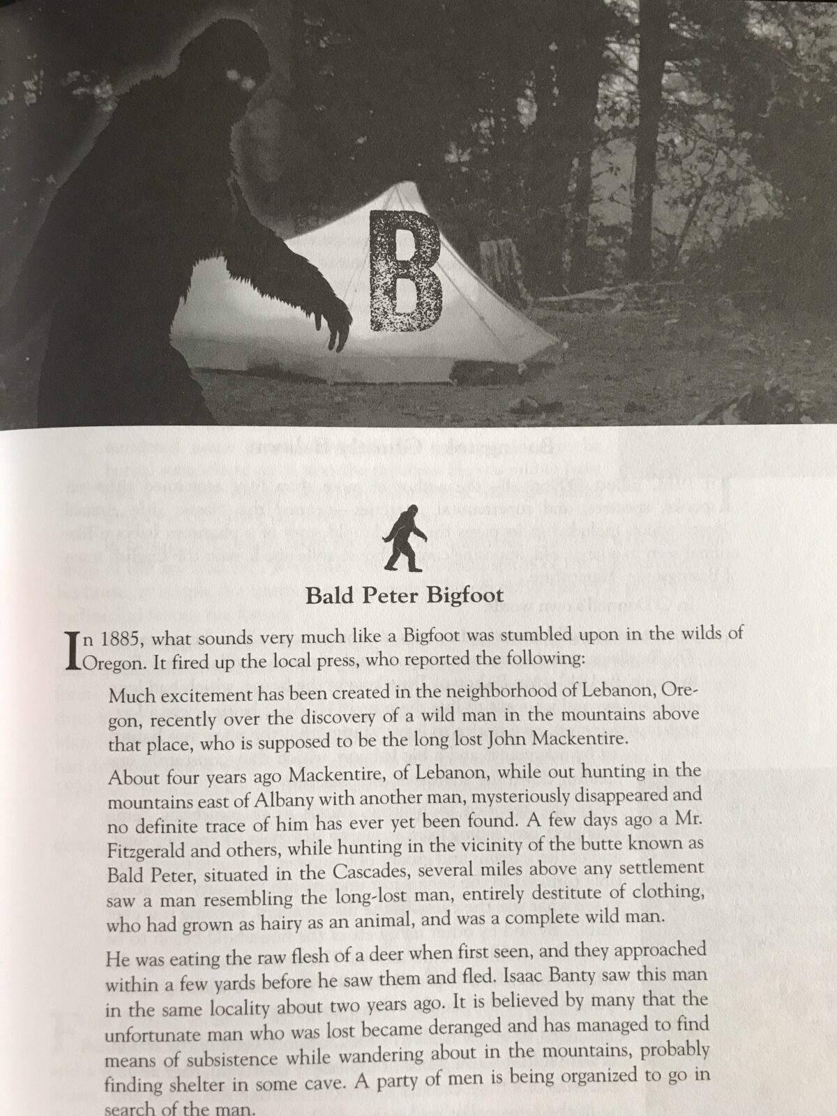 Book Review: The Bigfoot Book - Odd & Untold